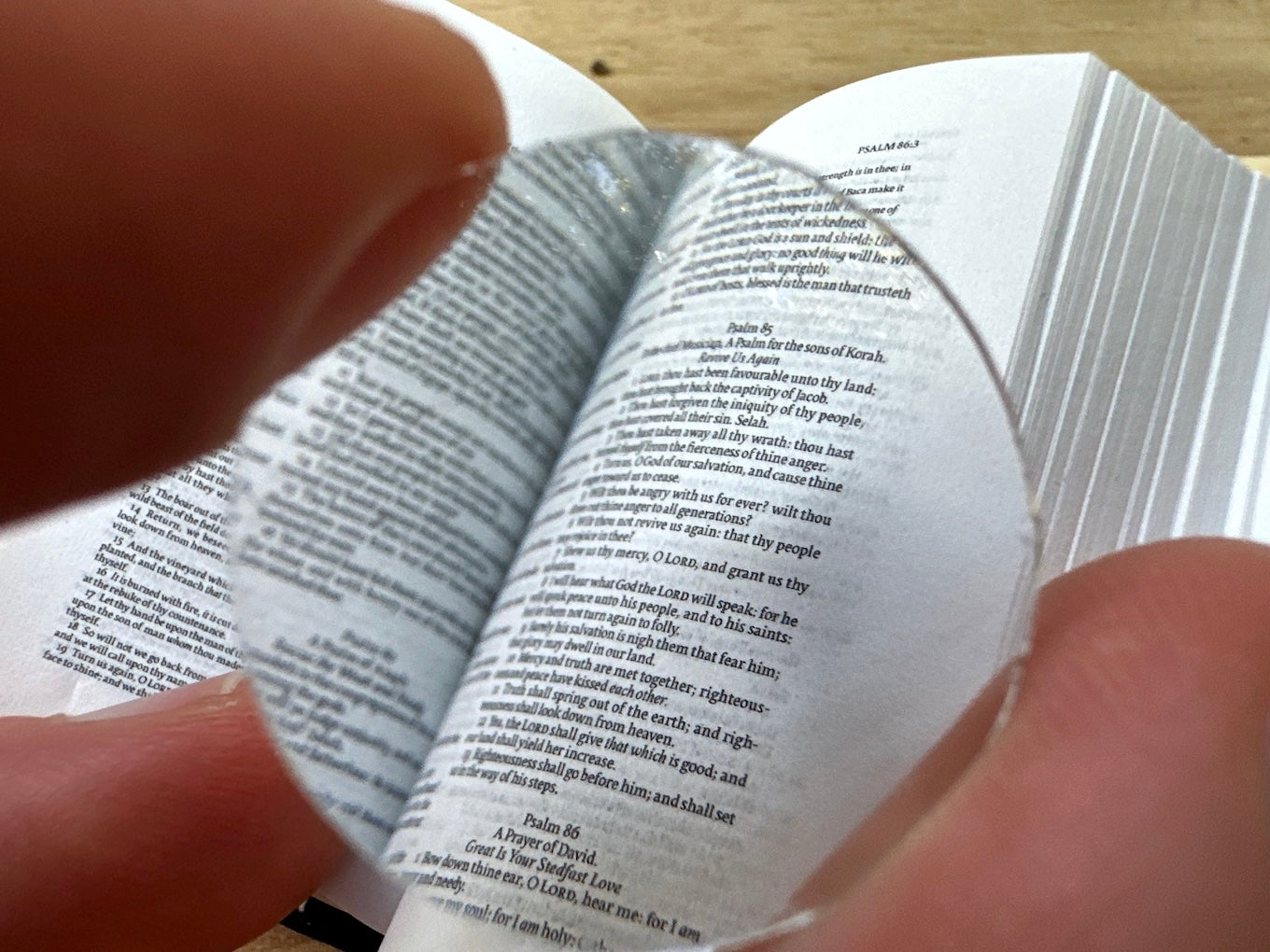 Tiny Bible, Cowhide KJV – TB Publishing
